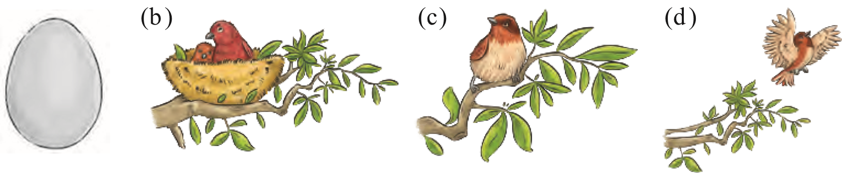 Class 6 English Chapter 8 NCERT Solutions PDF